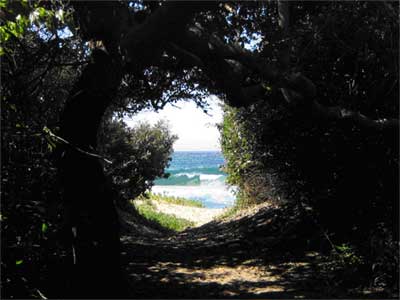 TOURISM | Mandeni Local Municipality